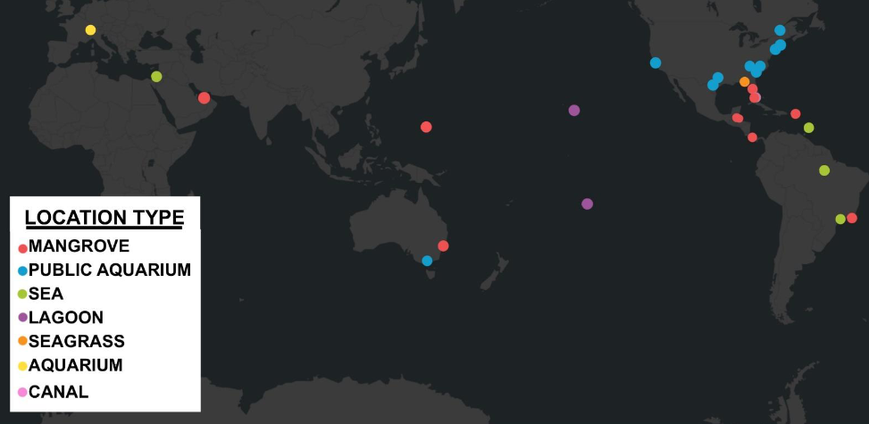 Stretching Stings: How jellyfish can sting without using tentacles ...