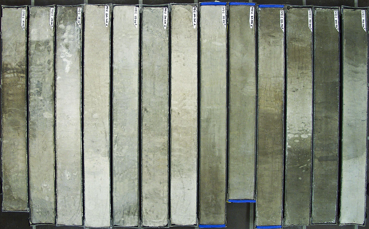 Deep seafloor microbes are active at extreme temperatures – oceanbites