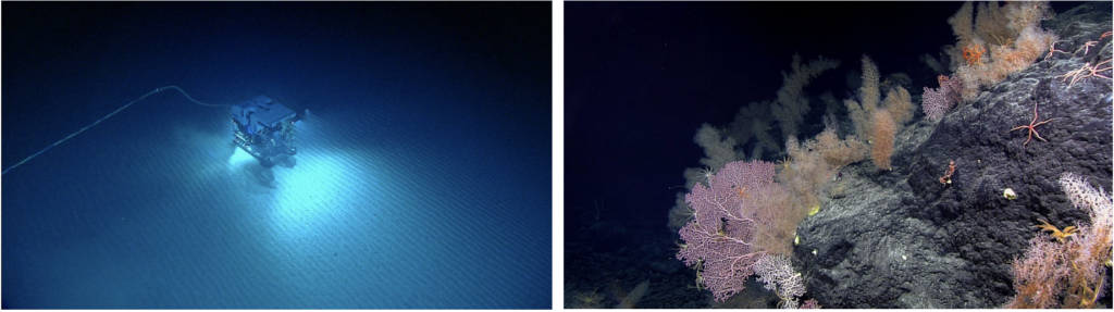 Taking a long, hard look at a classic deep-sea theory – oceanbites