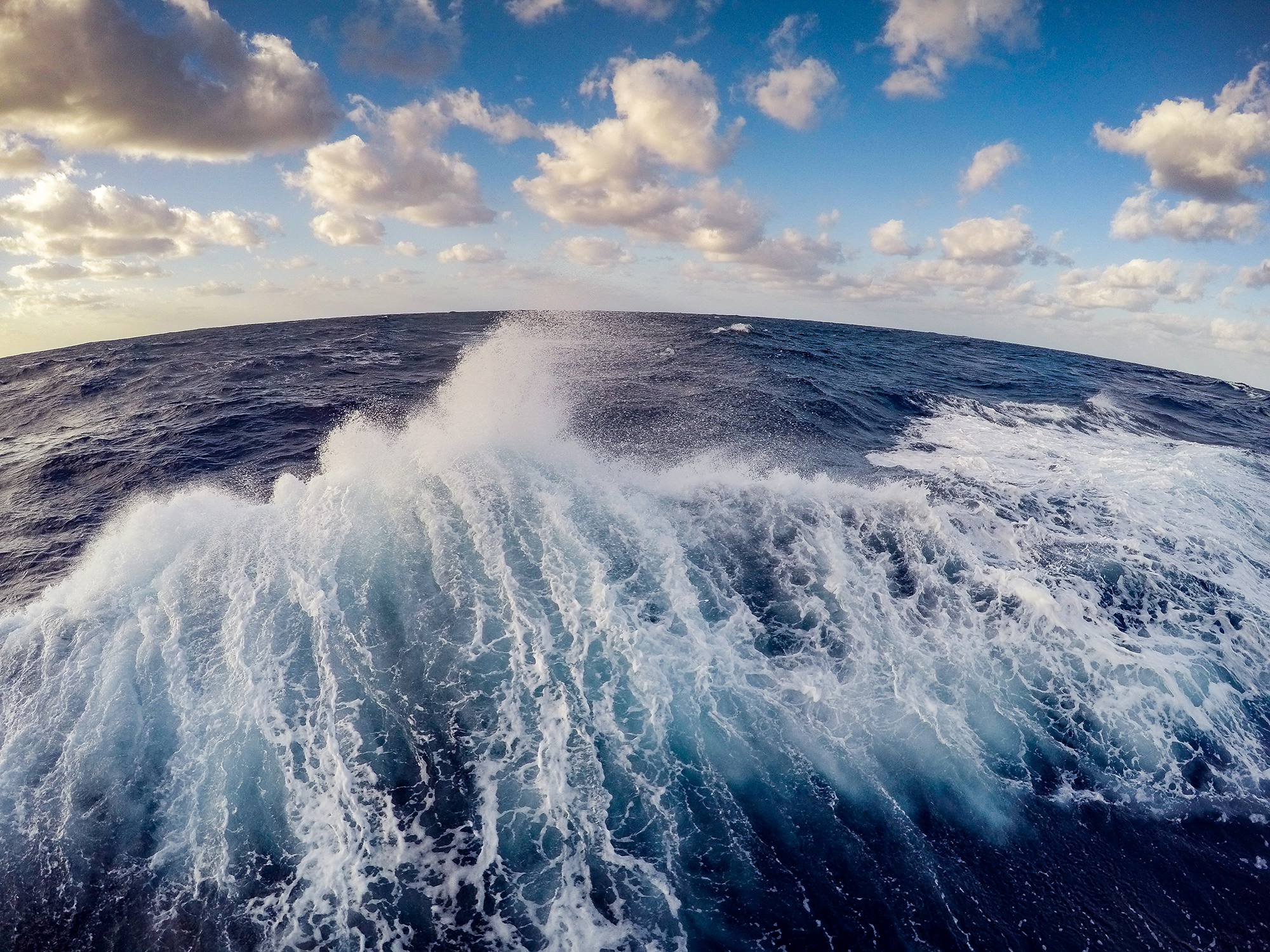 Are we casting the right net? How sampling device influences our ...