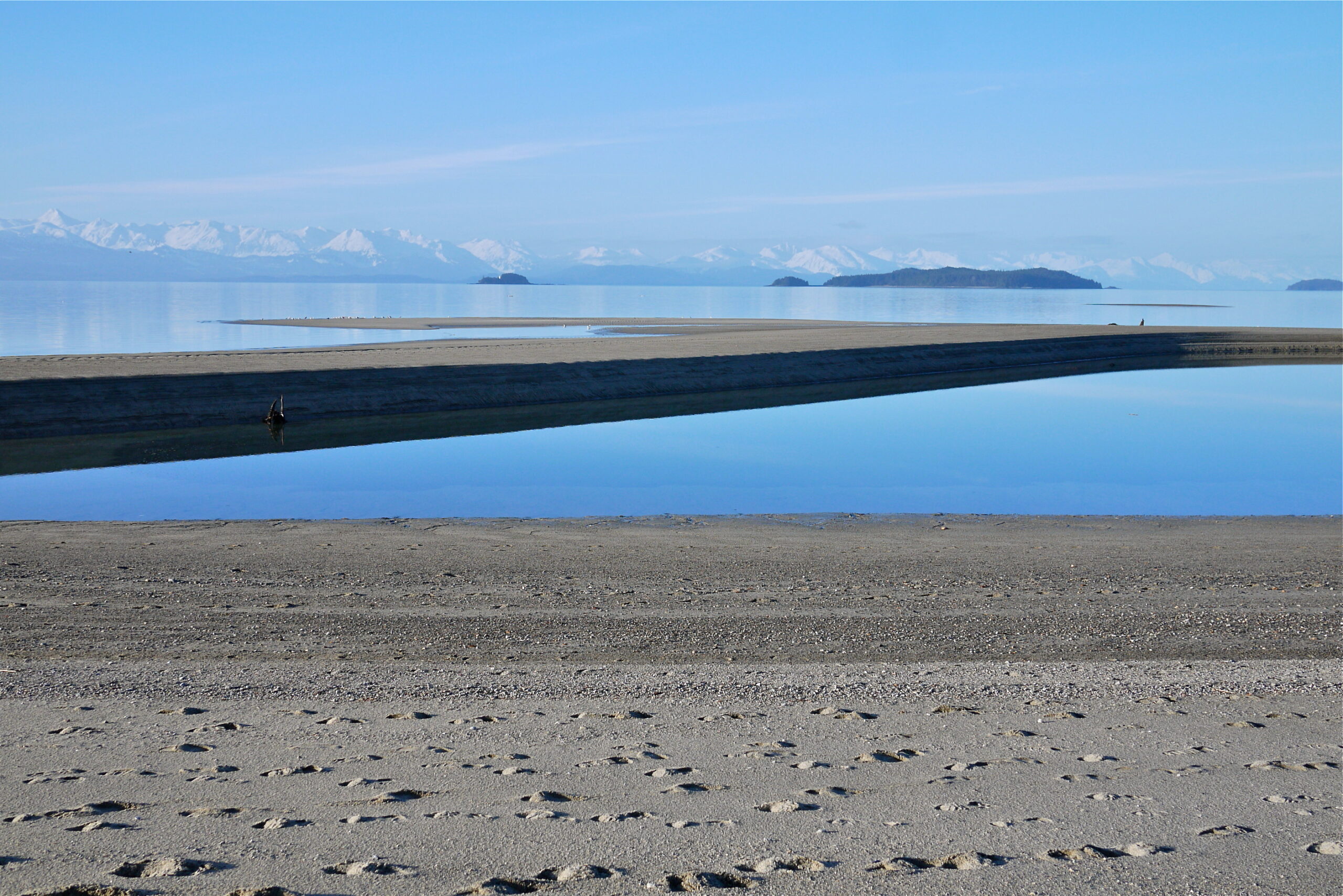 Burrow Fever! Bioturbation and Marine Heatwaves – oceanbites