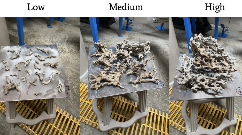 SURFO SPECIAL: Understanding Cold-Water Corals – oceanbites
