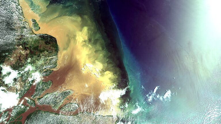 What does the Amazon Rainforest and the deep ocean have in common ...