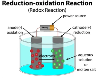 Bacterial Batteries: Deep Sea Hydrothermal Vents Host Electrifying ...
