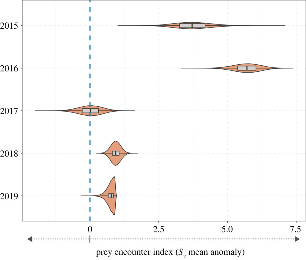 Using acoustics to learn about Pingu – oceanbites