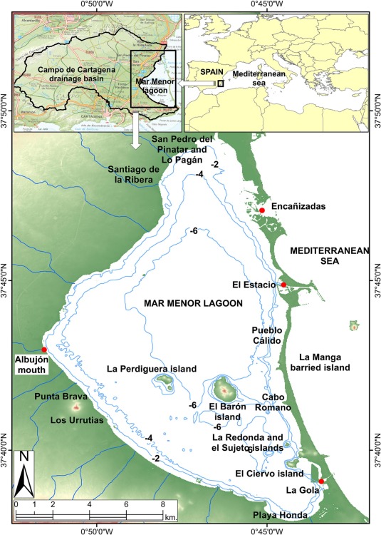 One s(hell) of an issue – oceanbites