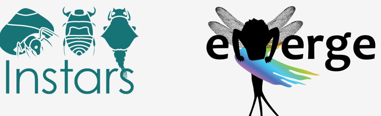 Celebrating Black History Month – oceanbites