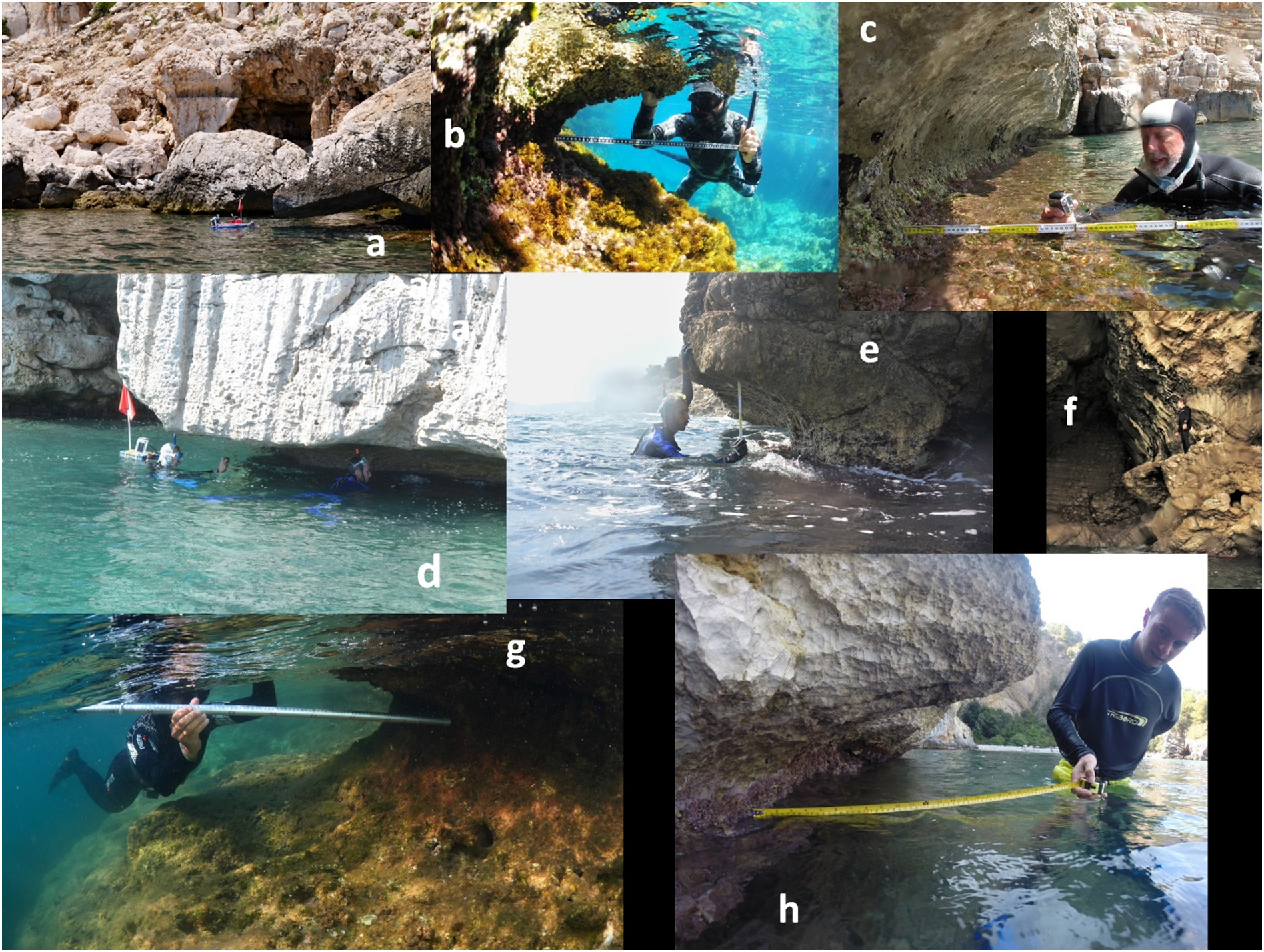 Surveying Along Rocky Coasts – oceanbites