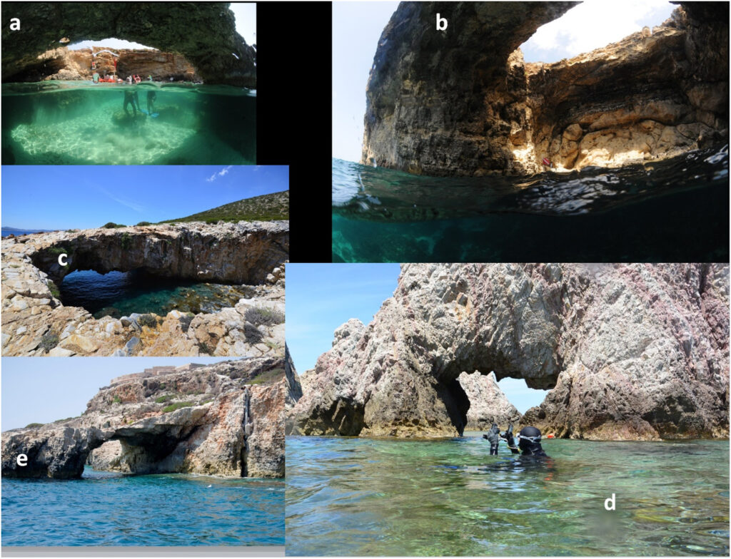 Surveying Along Rocky Coasts – oceanbites