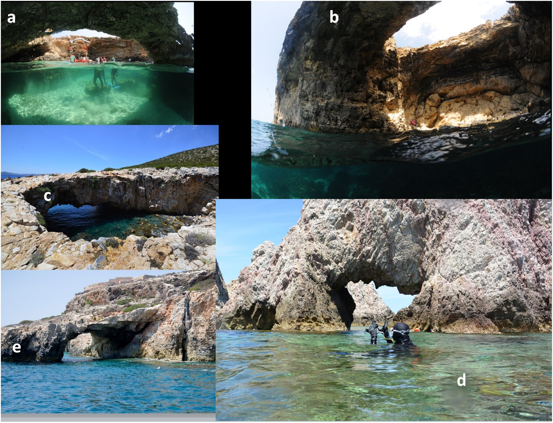 Surveying Along Rocky Coasts – oceanbites