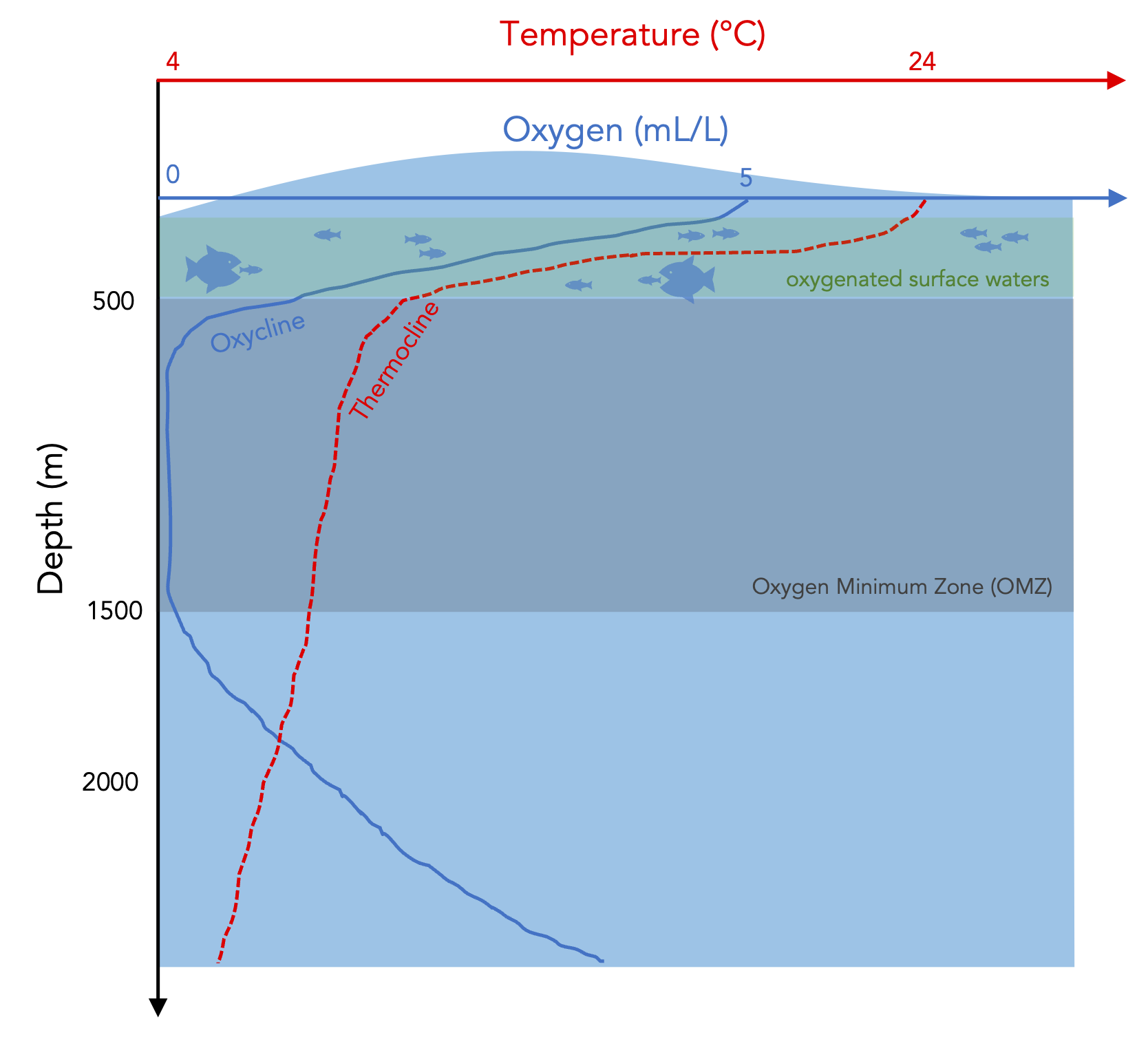 Plenty of Fish in the OMZ – oceanbites