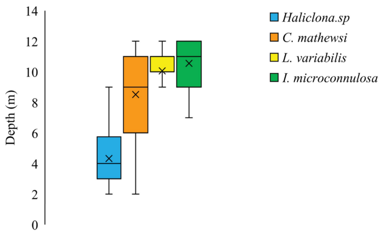 Look Ma, No Eyes! : Sponge Larval Dispersal and Settlement – oceanbites
