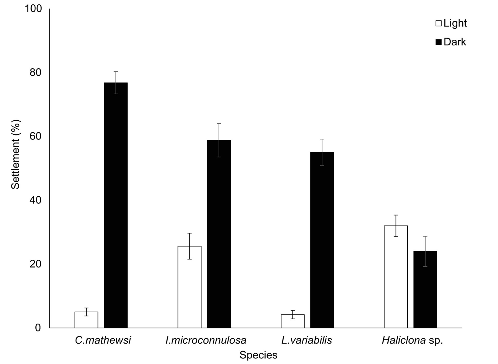 Look Ma, No Eyes! : Sponge Larval Dispersal and Settlement – oceanbites