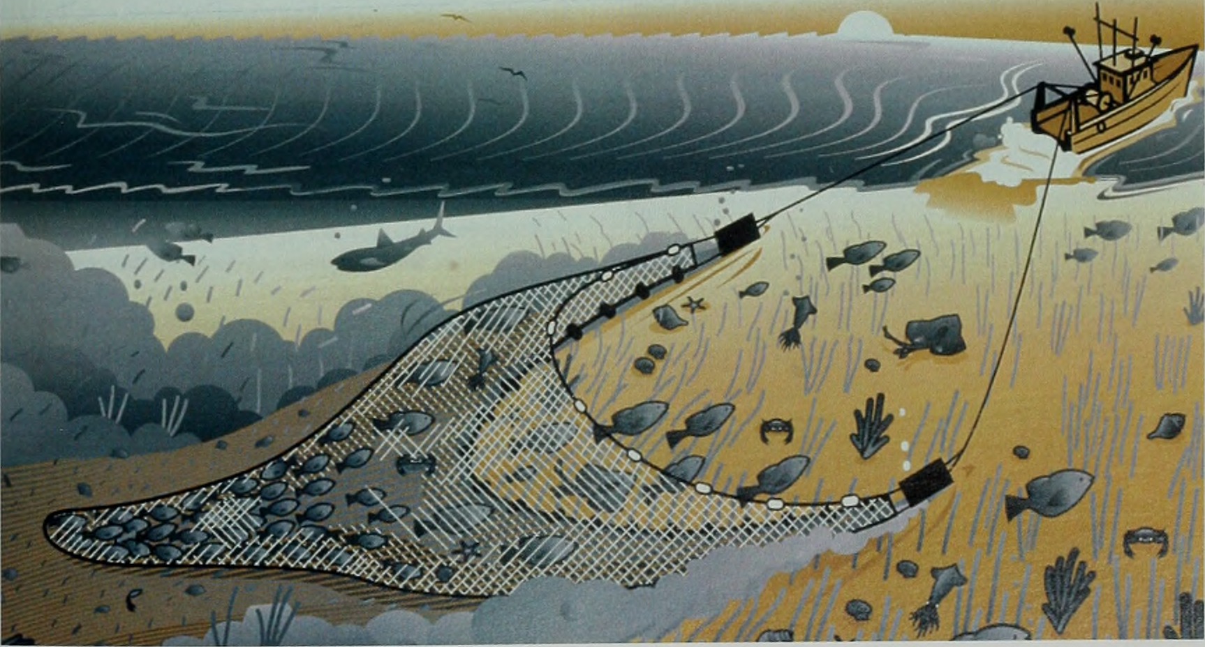 Do Not Touch the Lobster – oceanbites