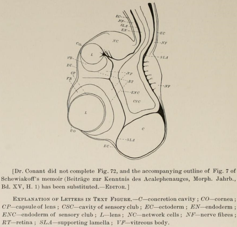 Thinking out of the box – oceanbites