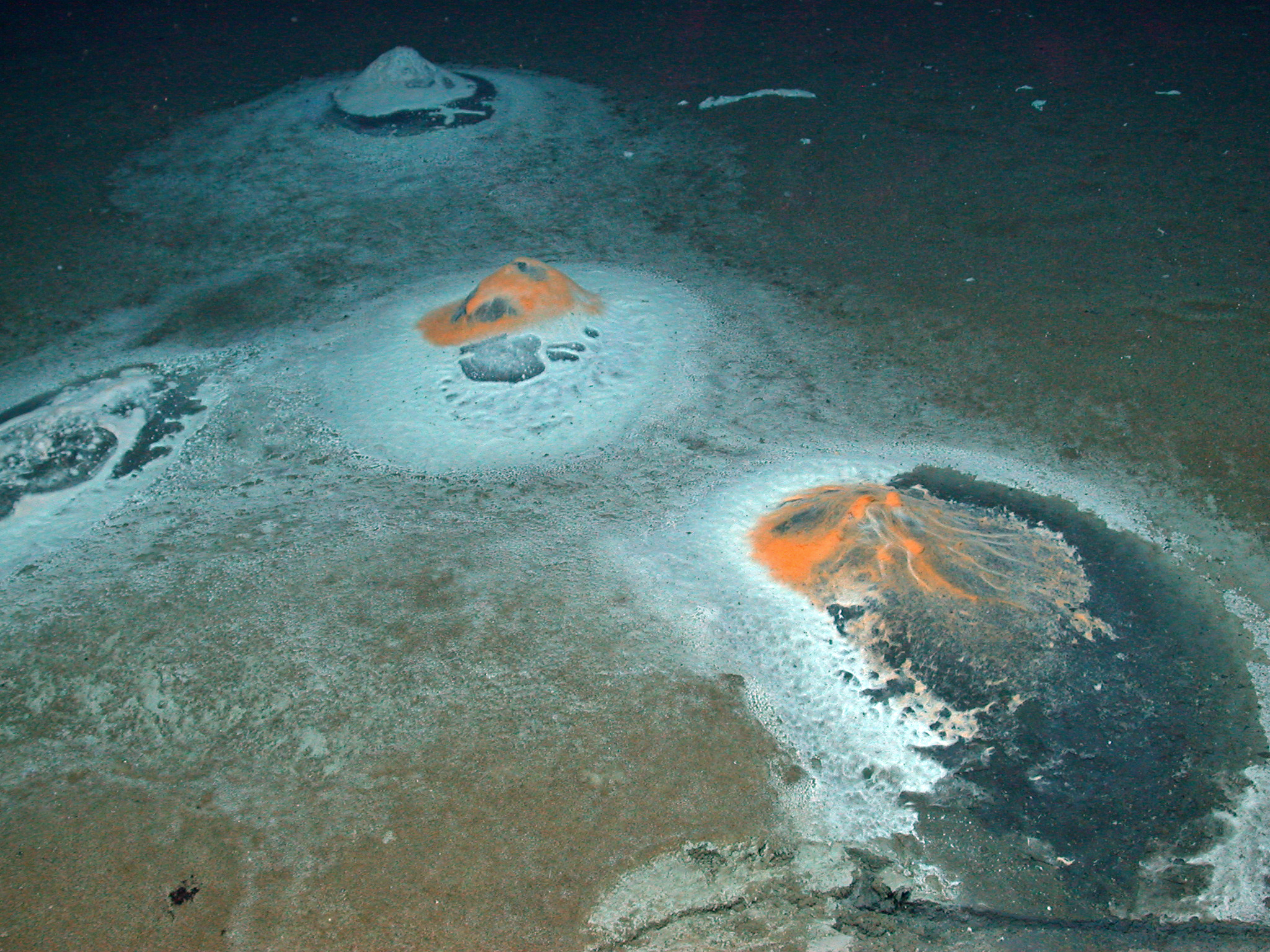 Seascapes of the Deep Sea – oceanbites