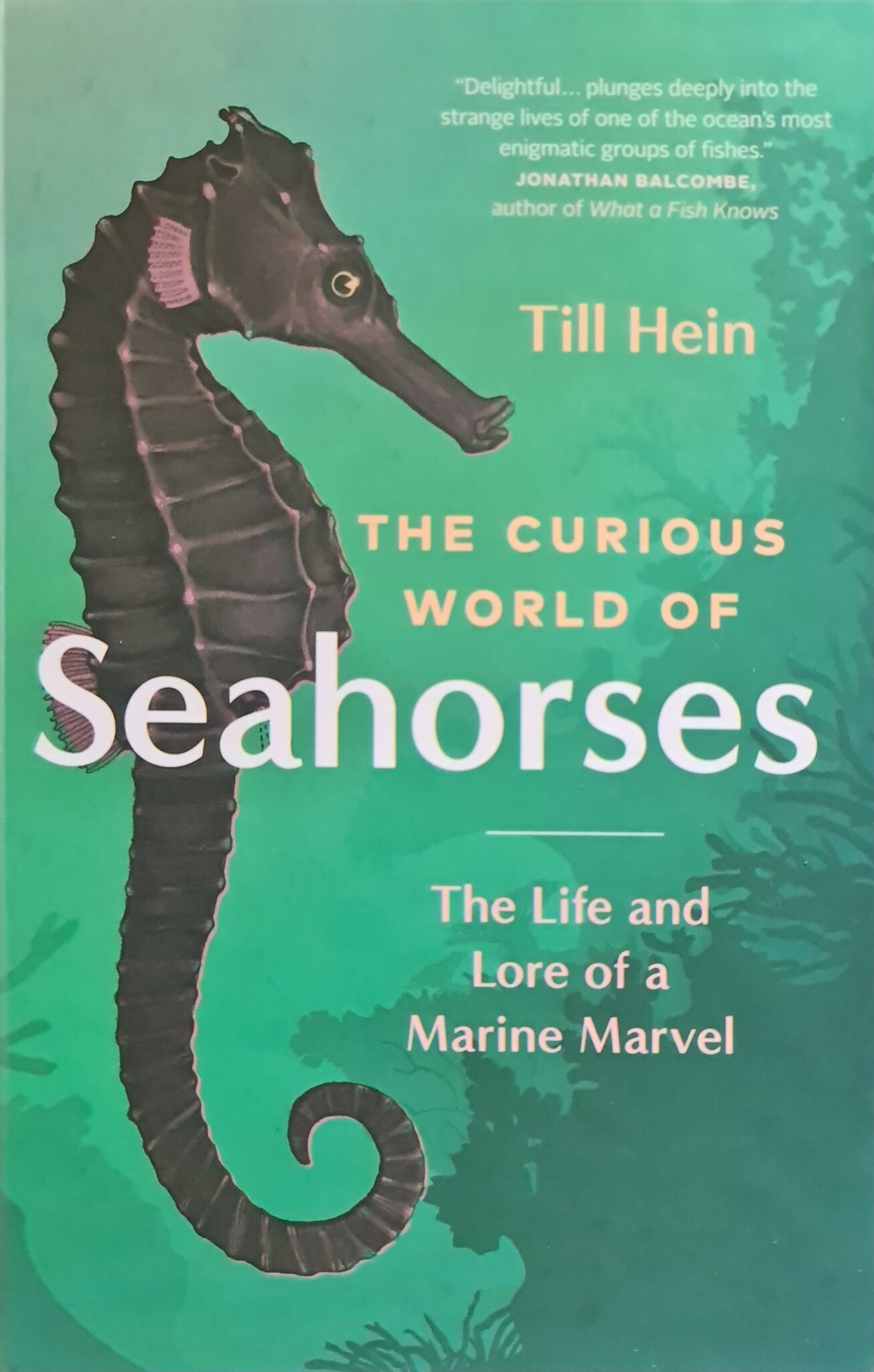 The curious world of Seahorses: The Life and Lore of a Marine Marvel by ...