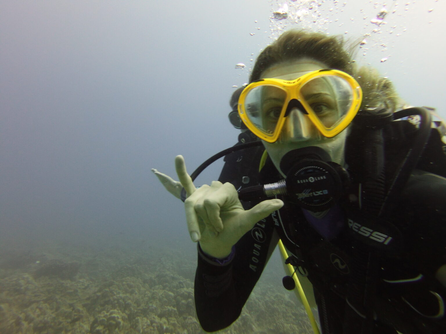 From Intern to Ocean Advocate: An Unforgettable Summer in Hawaii ...