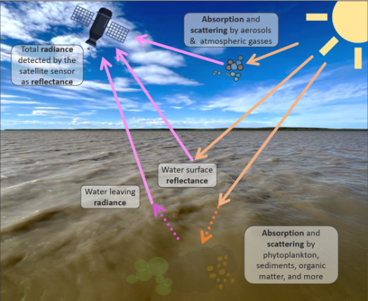 Color by Numbers – How ocean color observed by satellites is helping ...