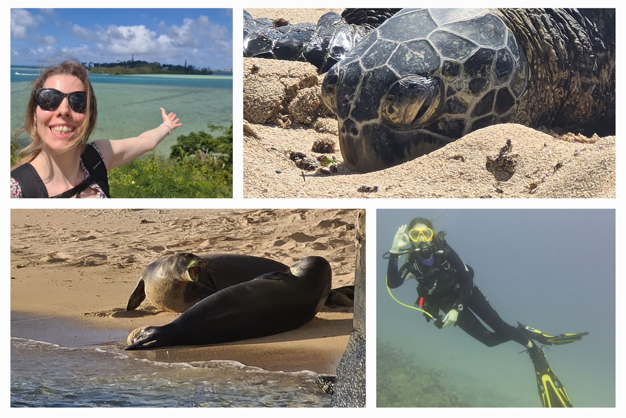 From Intern to Ocean Advocate: An Unforgettable Summer in Hawaii ...