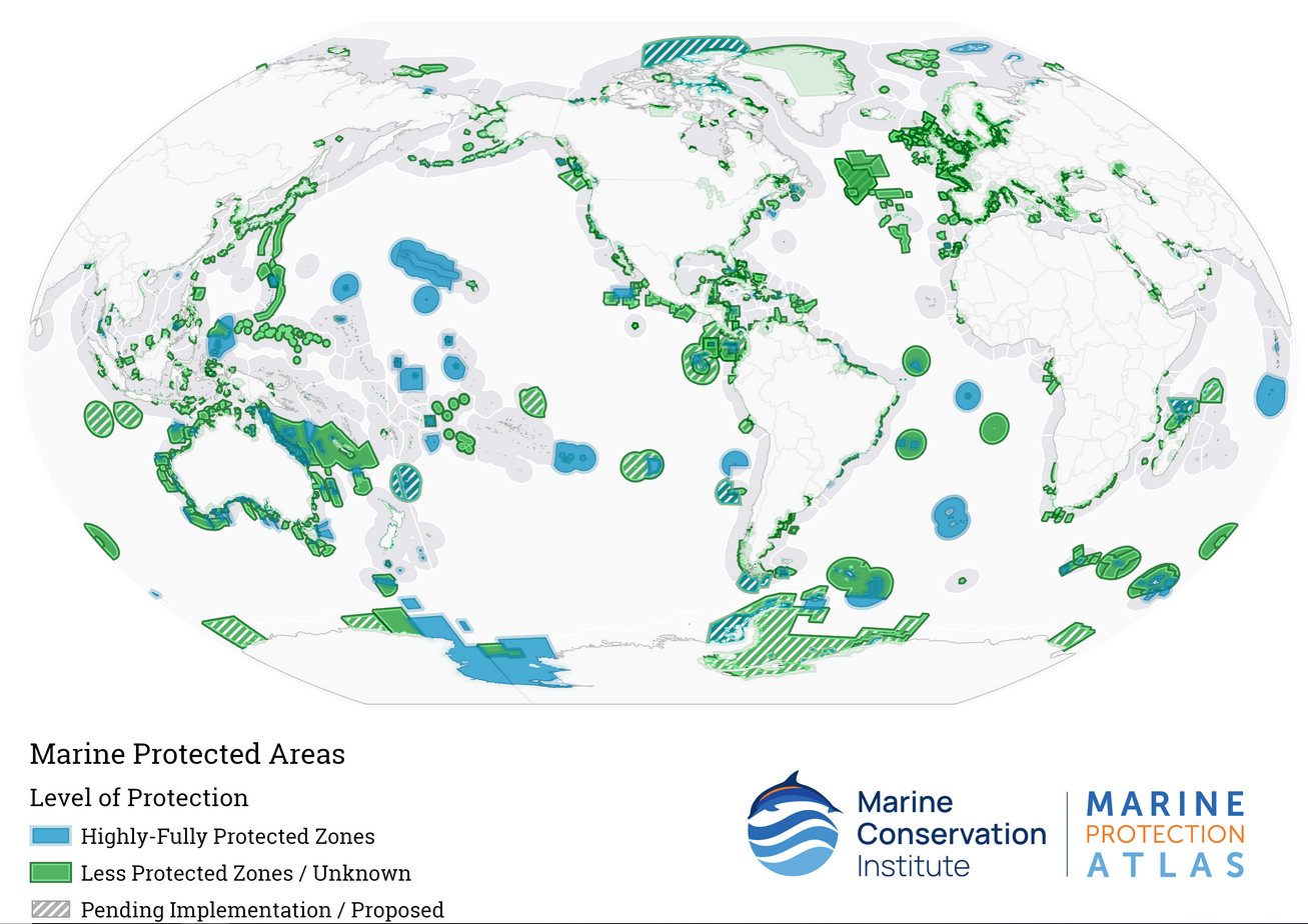 Testing the Effectiveness of Urban Marine Protected Areas – oceanbites