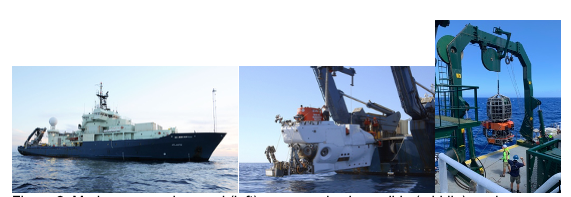 Opening our eyes in the deep, dark ocean – oceanbites