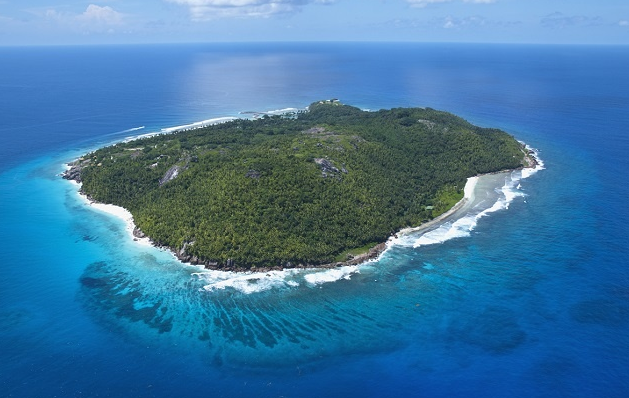 Uncovering Sharks and Rays of Frégate Island – oceanbites
